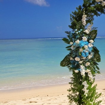 Best destination photographers on Wedgo