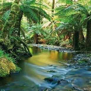 Best destination photographers on Wedgo