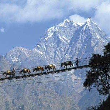 Best destination photographers on Wedgo